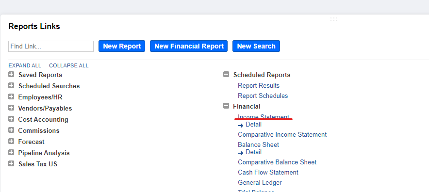 Enable Income Statements in Oracle NetSuite – Auditoria.ai